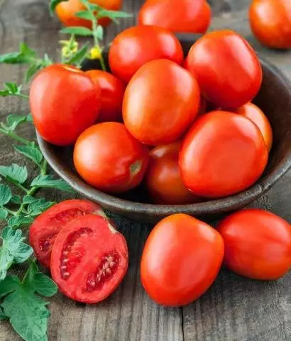 Pomodori: le migliori varietà per terreni aperti - descrizione, foto, recensioni 6196_18