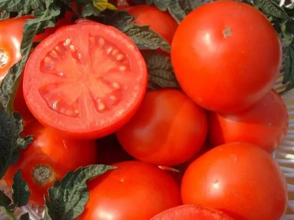 Pomodori: le migliori varietà per terreni aperti - descrizione, foto, recensioni 6196_9