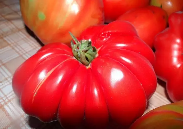 Tomato Harmonika: eiginleikar og lýsing á fjölbreytni, myndir, umsagnir 6199_1