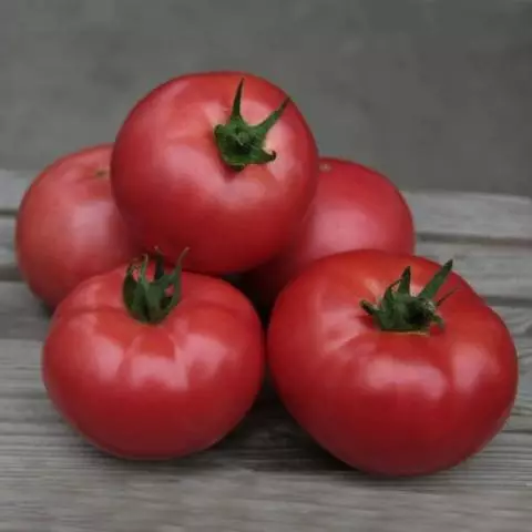 Tomato Kibo F1: resensies, beskrywing van die variëteit 6210_13