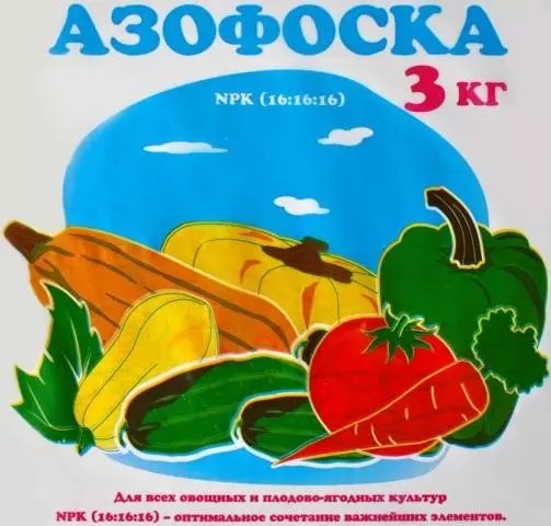 Застосування добрива азофоски для помідорів 6234_1