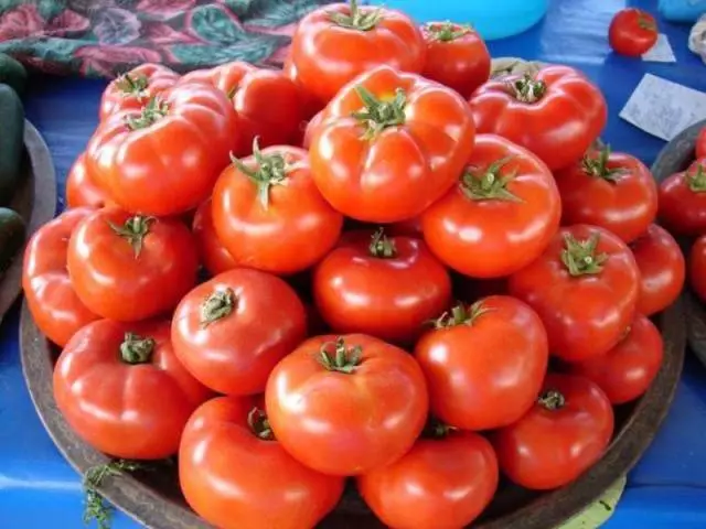 Bei welcher Temperatur können Tomaten gepflanzt werden? 640_17