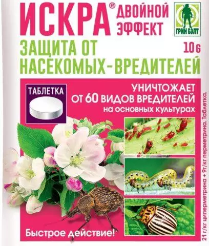 Листни въшки по череши: как се обработва, снимки, как да се справяте, народни средства, през май, юни 6453_8