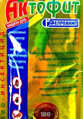 Листни въшки по череши: как се обработва, снимки, как да се справяте, народни средства, през май, юни 6453_9