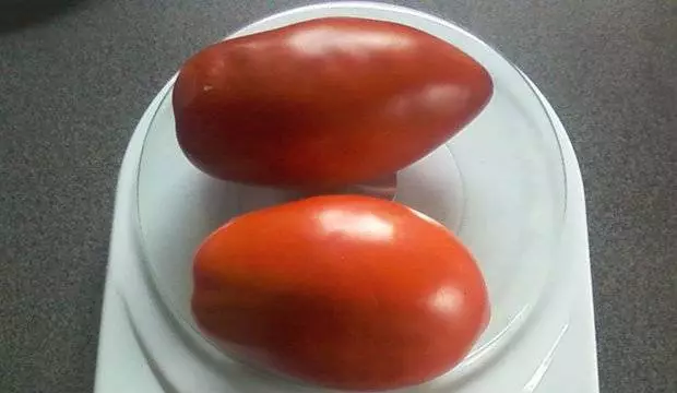 Tomate Siberiako Troika: barietatearen ezaugarriak eta deskribapena 646_4