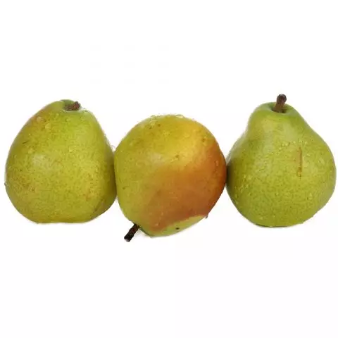 Pear Anjou: ລາຍລະອຽດແນວພັນ, ຮູບ 6504_3