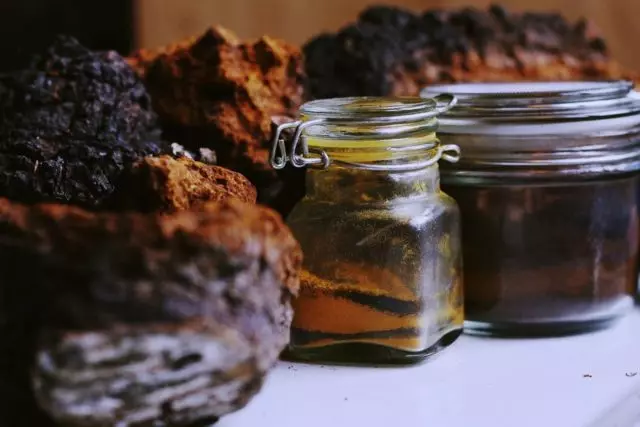 Chaga टिंचर: वोदका, रक्सी र propolis मा, यो रोगहरु को लागी प्रयोग गरीन्छ, कसरी पिउन को लागी 6518_3