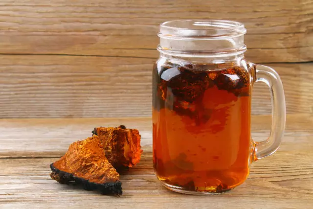 Chaga टिंचर: वोदका, रक्सी र propolis मा, यो रोगहरु को लागी प्रयोग गरीन्छ, कसरी पिउन को लागी 6518_4