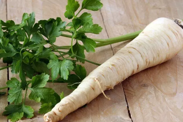 Parsley: inavyoonekana, mmea wa kila mwaka au wa kudumu, mboga au la, aina, aina, picha 6618_3