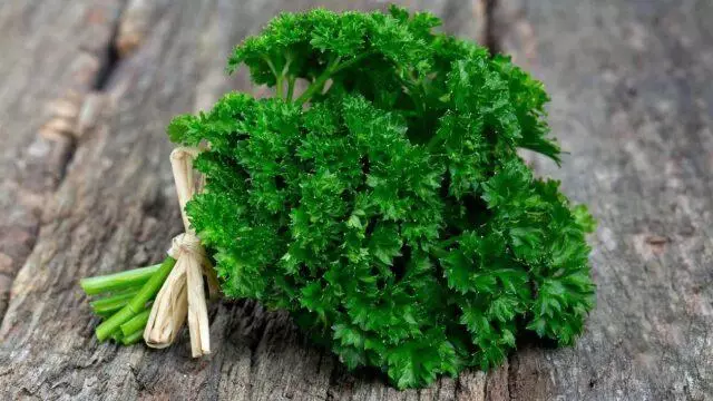 Parsley: inavyoonekana, mmea wa kila mwaka au wa kudumu, mboga au la, aina, aina, picha 6618_4