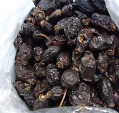 Black rosehip: နာမည်ကဘာလဲ၊ ဘာကကူညီလဲ၊ ဘာကအသုံးဝင်လဲ၊ အနီရောင်နဲ့မတူဘူး၊ ဘယ်နေရာမှာပေါက်လဲ၊ စုဆောင်းဖို့၊ ဓာတ်ပုံရိုက်တဲ့အခါ 6633_6