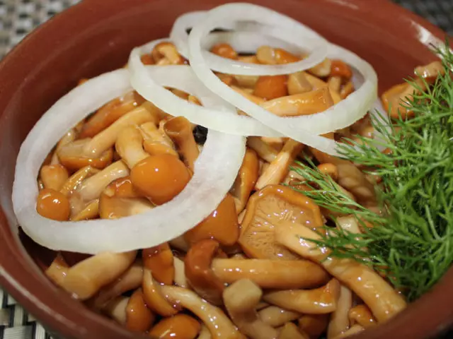 Champignons de chanvre: comment cuisiner pour l'hiver, recettes 6759_8