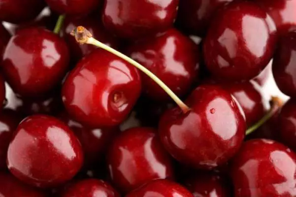 Cherry Kharitonovskaya: lainlaing paghulagway, litrato, pagsusi 6795_9