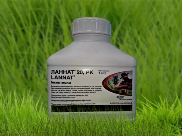 Lannat Insecticide: cov lus qhia siv rau txiv lws suav, rau 10 liv dej 6845_1