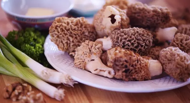 Edible morel: moo e holang, nako ea ho bokella, mokhoa oa ho khetholla le ho pheha 6950_17