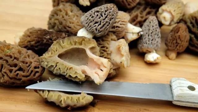 Morel ທີ່ກິນໄດ້: ບ່ອນທີ່ມັນເຕີບໃຫຍ່, ເວລາເກັບກໍາ, ວິທີແຍກແຍະແລະປຸງແຕ່ງອາຫານ 6950_8