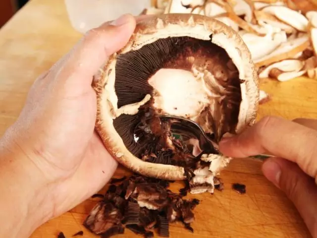 Champignons: meriv çawa nû, kirîn, paqij kirin û şuştina kivarkan paqij dike 7052_11