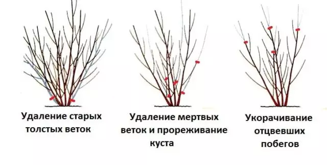 Cropping Action: Diagram fir Ufänger, Timing, Video 7165_3