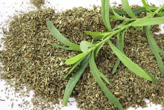 Grass Tarragon (Tarragon): başgaça diýilýän zat, görnüşi, beýany, suraty, nahar bişirmekde, gorap saklamakda nähili ulanmaly 7517_7