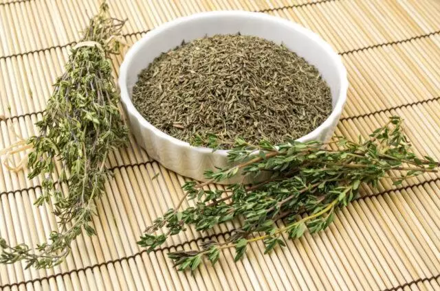 Thyme (thyme) چرندڙ: ،وٽو ، تفصيل ، پوک ، سن careال ، دوائن جون خاصيتون ، تضاد 7607_7