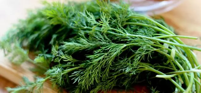 Dill Russian giant: variety description, photos, reviews, planting and care 7667_1