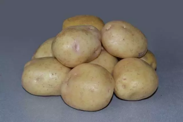 Ang pinakamahusay na mga varieties ng patatas para sa gitnang Russia + mga larawan, mga pagsusuri 7688_11