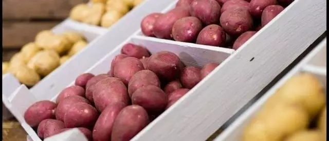 Ang pinakamahusay na mga varieties ng patatas para sa gitnang Russia + mga larawan, mga pagsusuri 7688_12