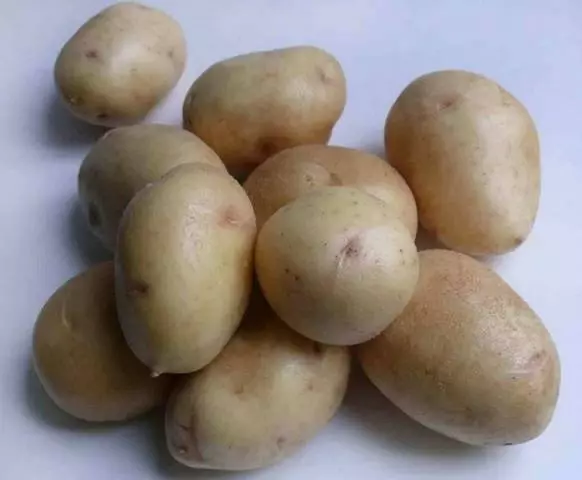 Ang pinakamahusay na mga varieties ng patatas para sa gitnang Russia + mga larawan, mga pagsusuri 7688_13