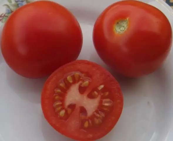 Tomate Taimyr: características y descripción de la variedad. 7716_1