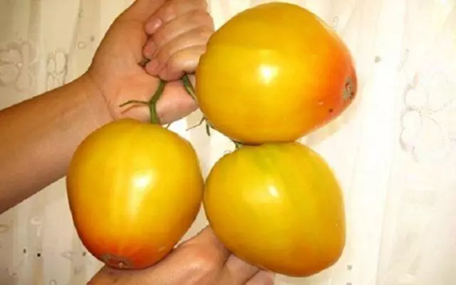 Tomato Golden Domes: Eigenschaften und Beschreibung der Sorte, Fotos, Bewertungen, wer gepflanzt, Ertrag, Video 7720_2