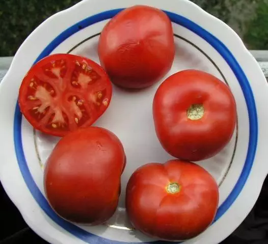 Tomato Snowdrop: ferskaat beskriuwing, foto's, resinsjes 7729_11