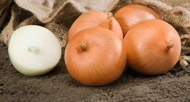 Onion Bonus F1: ferskaat beskriuwing, foto's, resinsjes, plantsje en fersoargje 7752_1