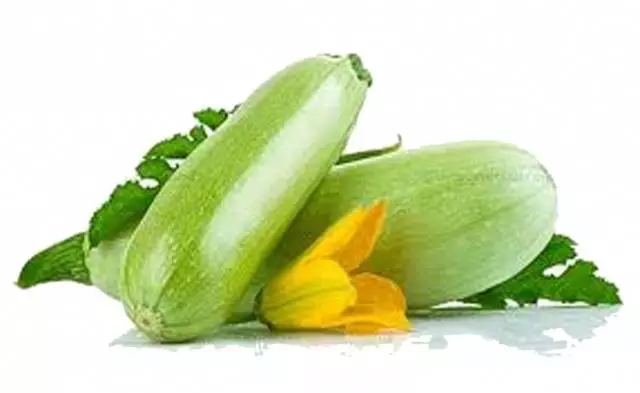 ပွင့်လင်းမြေတွင်အထွက်အများဆုံး zucchini 7771_20