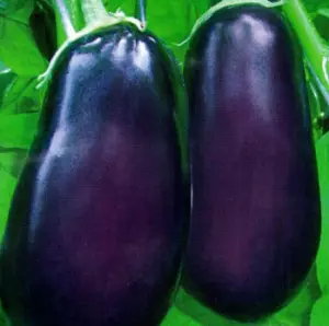 Aubergine Vakula