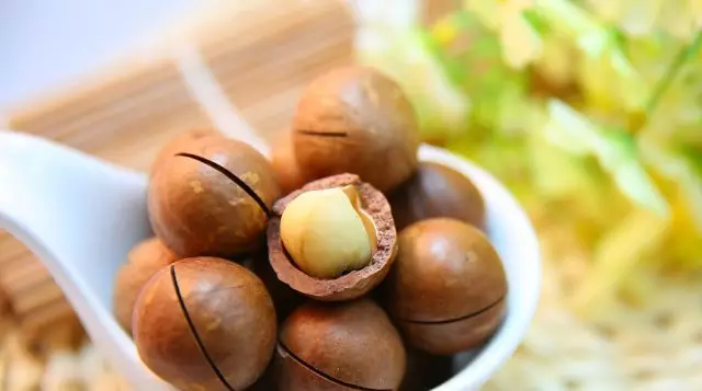 Kacang macadamia: sifat yang berguna, aplikasi, kontraindikasi, ulasan 7956_5