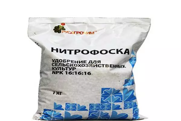 Fertilizer Nitrofoska: application, composition 8016_4