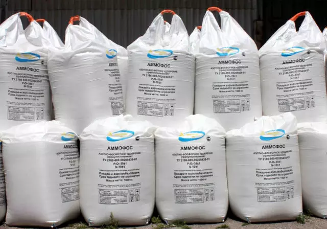 Fertilizer Ammophos: nws yog dab tsi, muaj pes tsawg leeg, mis, yuav ua li cas yug, thaum twg thiab yuav thov li cas 8045_2