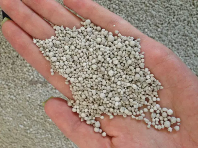 Fertilizer Ammophos: nws yog dab tsi, muaj pes tsawg leeg, mis, yuav ua li cas yug, thaum twg thiab yuav thov li cas 8045_8