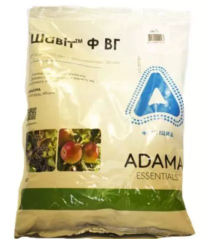 Shavit Fungicide: awọn ilana fun lilo, awọn abuda, tiwqn, awọn oṣuwọn agbara 8058_1