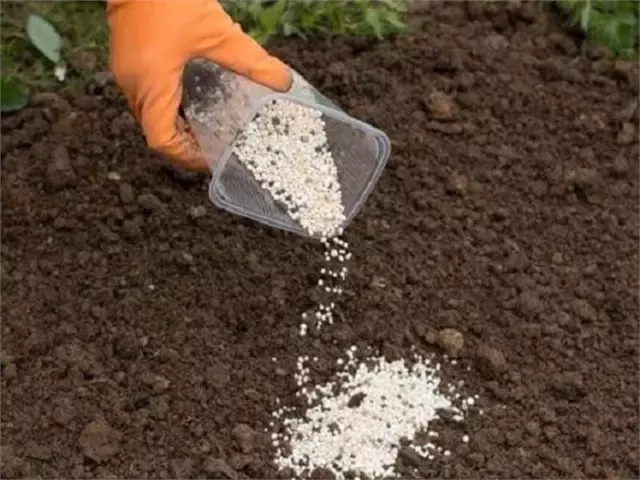 Ammoniumnitraat: toepassing voor bloemen, aardbeien, onkruid, wanneer en hoe toe te passen op de bodem 8069_9