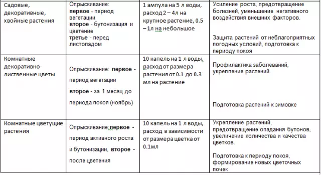 Epin Extra: көшеттерге арналған нұсқаулық, шолулар 8089_5