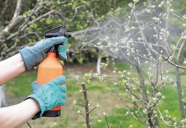 Fungicide Brunka: Method vun der Uwendung, Bewäertungen 8096_7