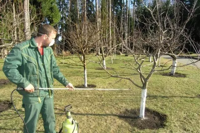 Фунгицид Брунка: начин примене, прегледи 8096_9