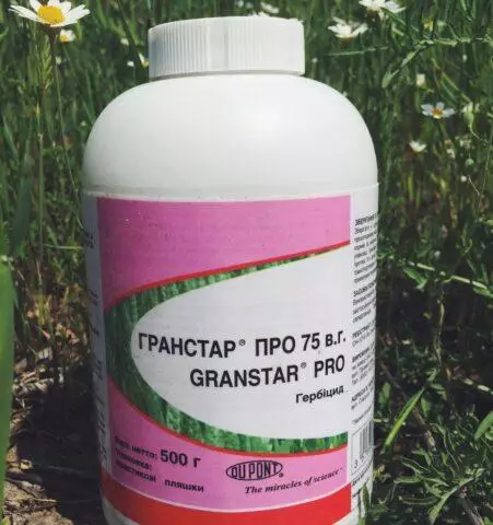 Herbicide Granstar : mode d'emploi sur tournesol, taux de consommation 8099_4