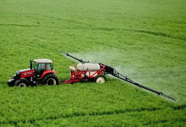 Herbicide Granstar : mode d'emploi sur tournesol, taux de consommation 8099_7