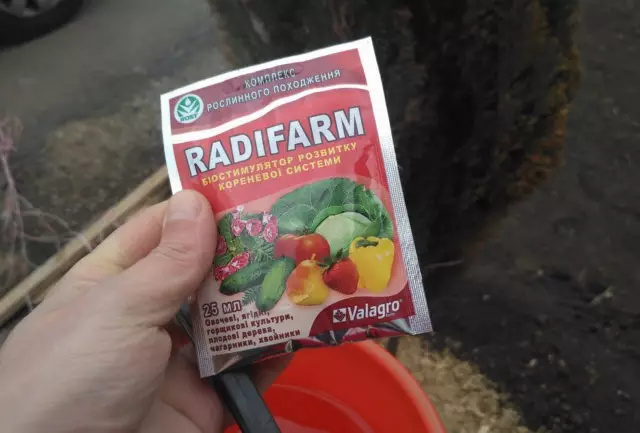 „Radifarm“: gėlių, pomidorų, orchidėjų trąšų naudojimo instrukcijos 8103_2