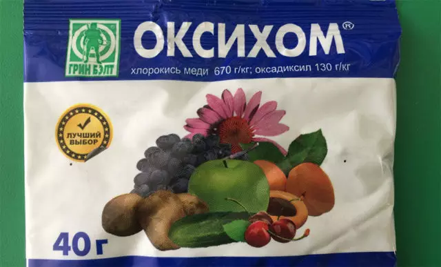 Fungicide Oxyhom: gebruiksaanwijzing voor komkommers, tomaten, druiven, samenstelling 8109_1