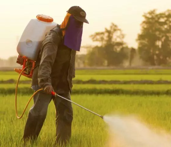 Herbicide Secator Turbo: ynstruksjes foar gebrûk, dosering, konsumpsje, beskriuwing 8112_3