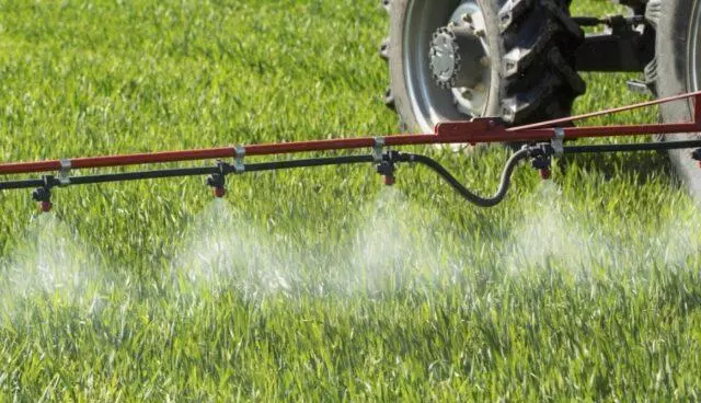 Herbicide Secator Turbo: ynstruksjes foar gebrûk, dosering, konsumpsje, beskriuwing 8112_4