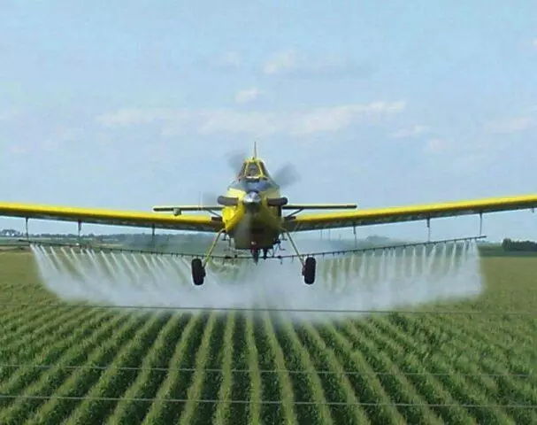 Herbicide Secator Turbo: ynstruksjes foar gebrûk, dosering, konsumpsje, beskriuwing 8112_5